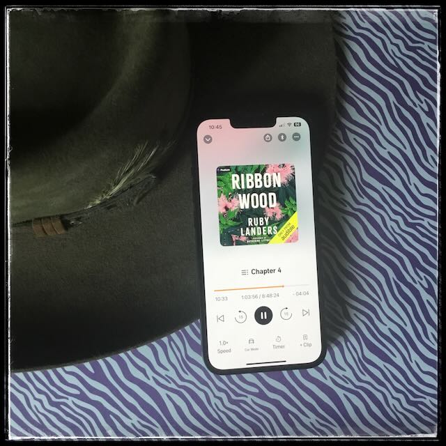 Ribbonwood by Ruby Landers, narrated by Katherine Littrell – Jude in ...